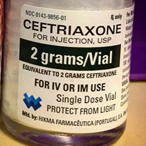Ceftriaxone (Rocephin)