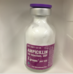 Ampicillin