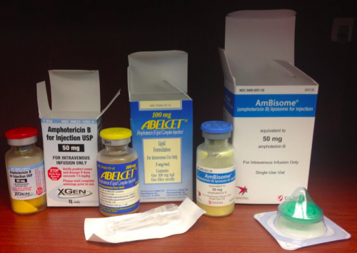 Amphotericin B (Fungizone, Abelcet, Ambisome)