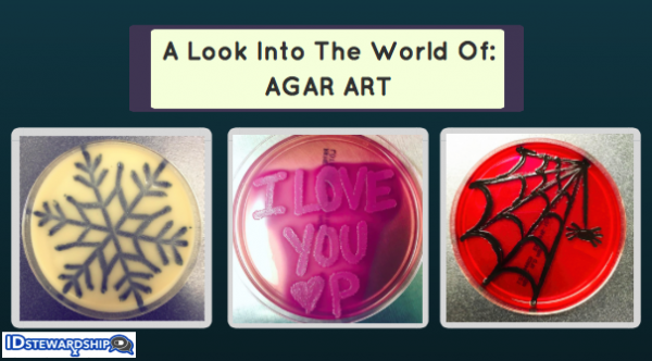 A Look Into The World Of Agar Art With Instagram's @Stylish_Streaking