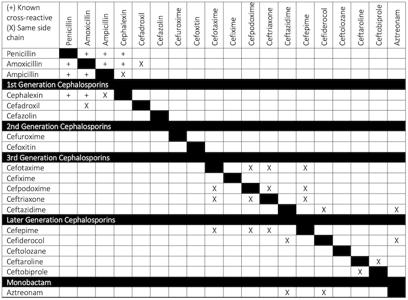 Cross-Reactivity Between Cephalosporins and Penicillins: How Beta ...