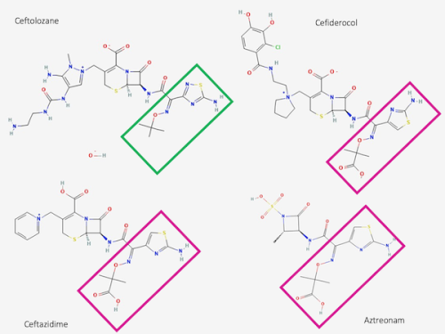 Cross-Reactivity Between Cephalosporins and Penicillins: How Beta ...