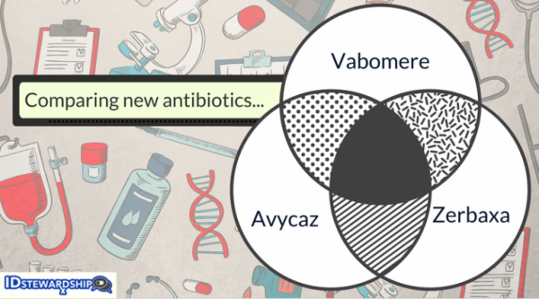 Ceftazidime-avibactam (Avycaz)
