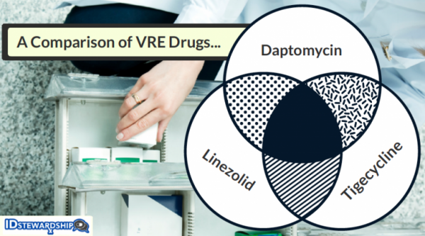 An Antibiotic Study Table Comparing VRE Drugs: Daptomycin, Linezolid ...