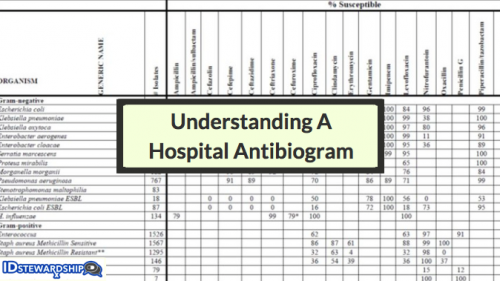 Five Important Things To Know About Hospital Antibiograms