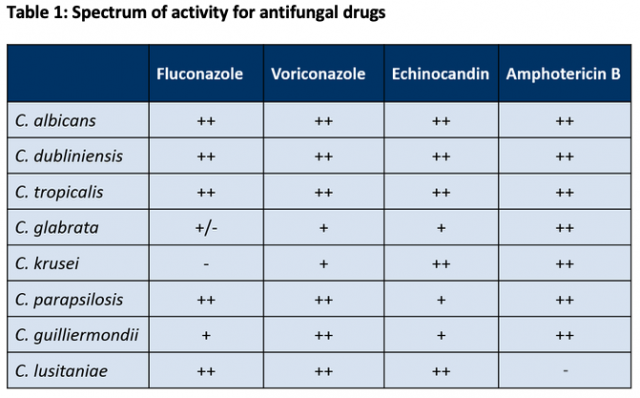 Five Practical Considerations On Using Antifungal Drugs For Invasive ...