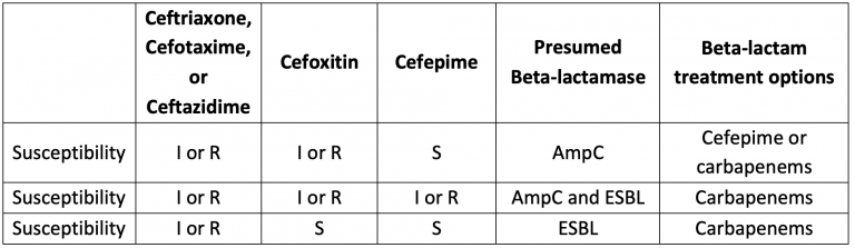 5 Important Things To Know About Extended Spectrum Beta-Lactamases ...