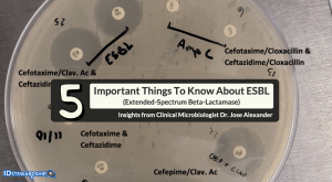 5 Important Things To Know About Extended Spectrum Beta-Lactamases ...