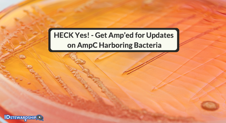 HECK Yes! Get Amp’ed For Updates On AmpC Harboring Bacteria
