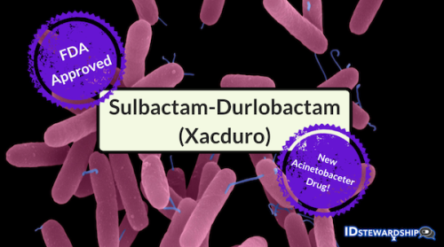 Sulbactam-durlobactam (Xacduro)