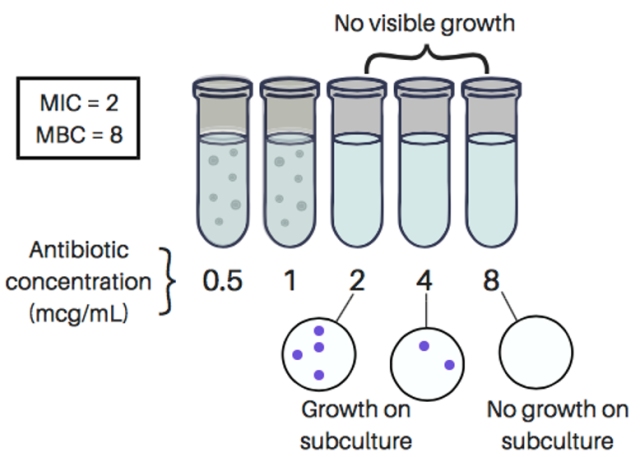 Antibiotic Minimum Inhibitory Concentrations: Do You know These 6 ...